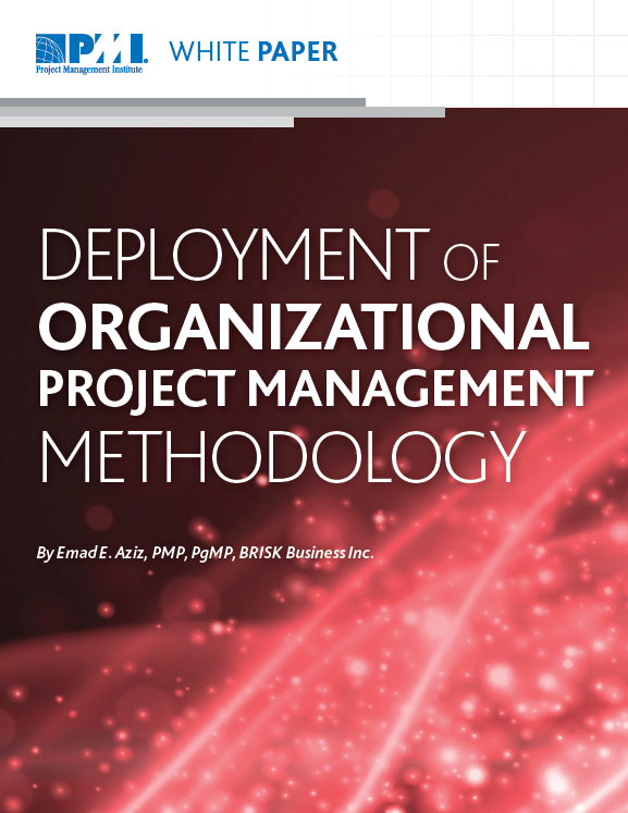 Deployment of Organizational Project Management Methodology | BRISK ...